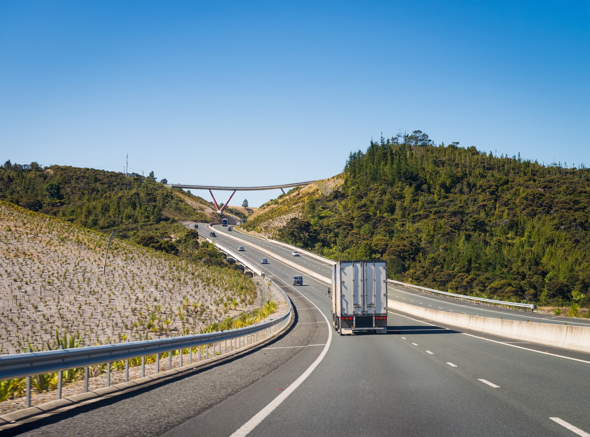 Buying time: Toll roads, congestion charges, and transport investment ...