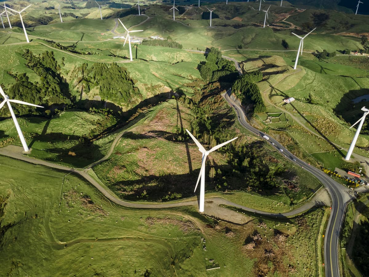 Strategy | Rautaki Hanganga o Aotearoa | New Zealand Infrastructure ...